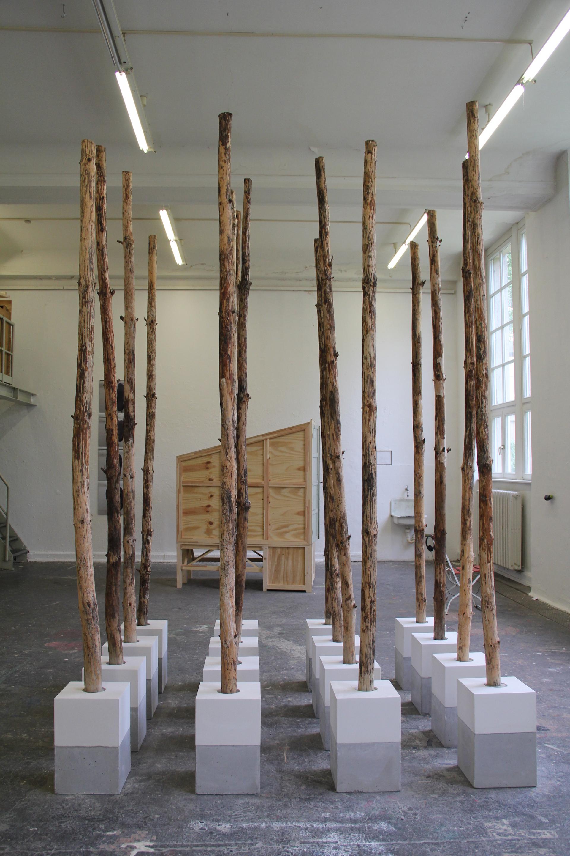 LISA DROST | BERLIN MASTERS